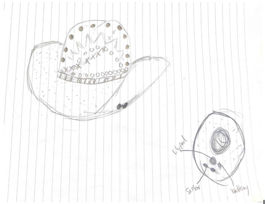 Ho Ho Howdy Hat – CIO